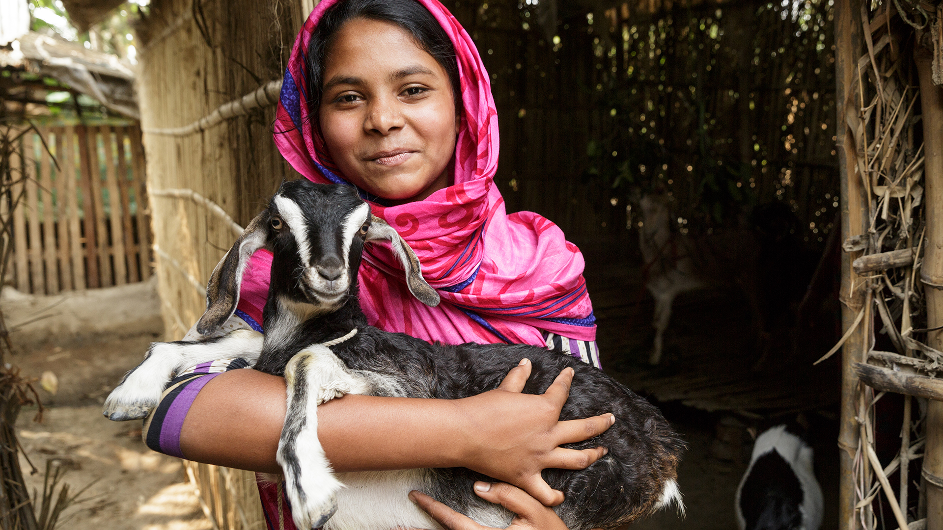 Heifer International - Blue State